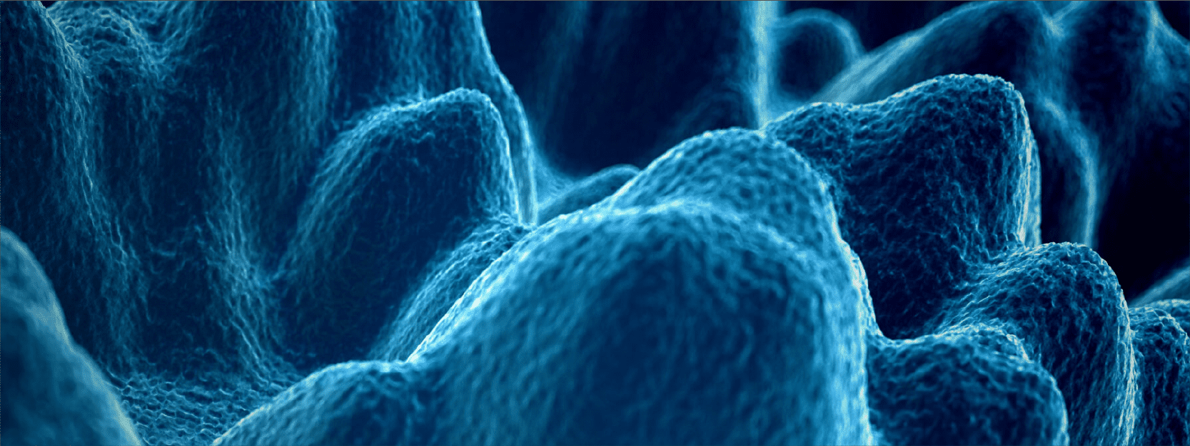 Home | Covalent Metrology Material Characterization Services Home | Covalent Metrology Material Characterization Services