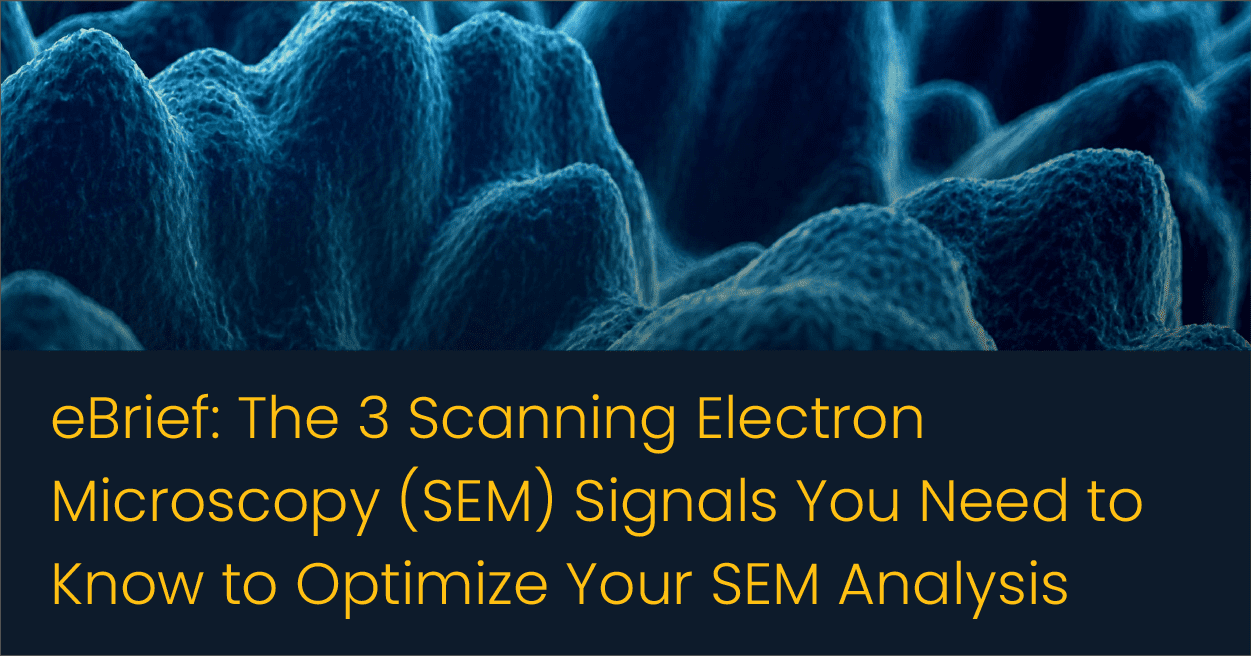 3 Scanning Electron Microscopy (SEM) Signals You Need to Know to ...